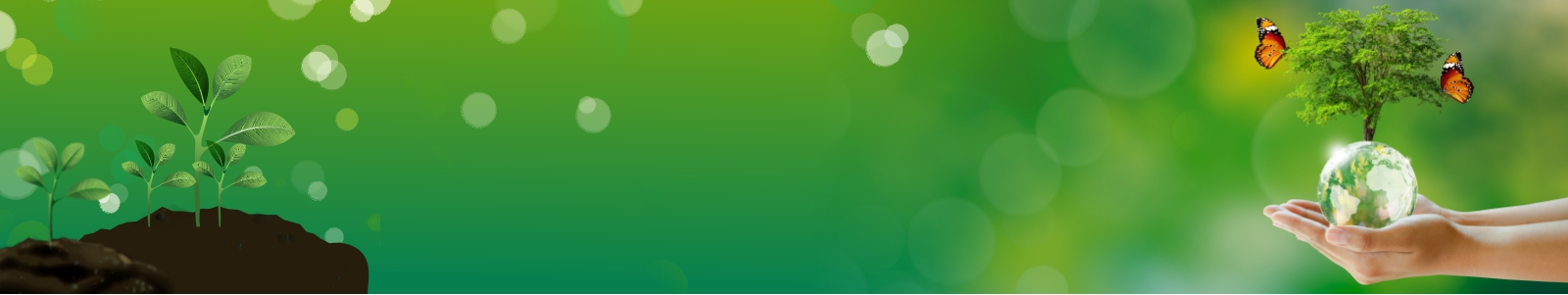 Green Planet | Log in